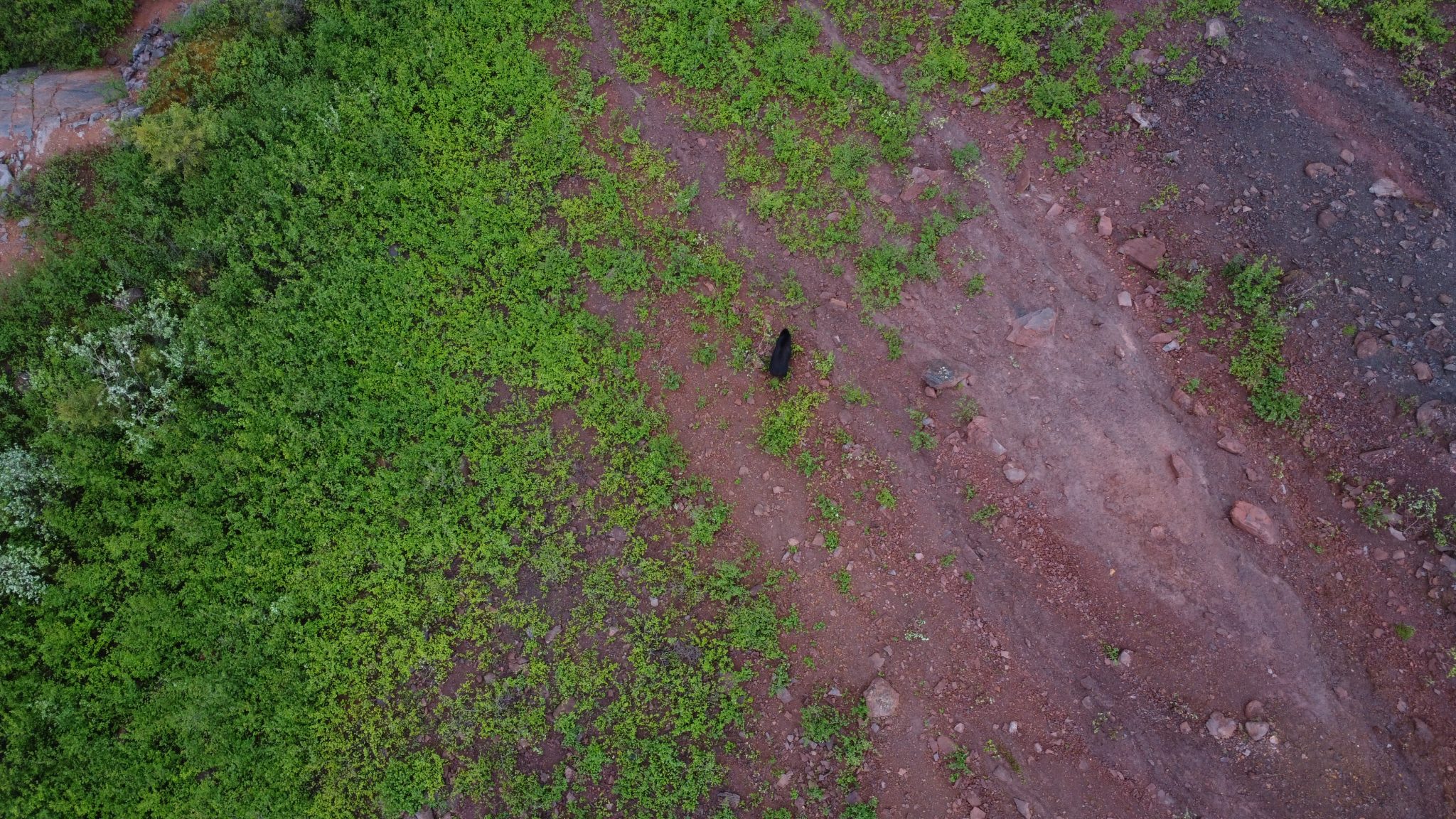 2022–2023 Annual Report – Naskapi Nation of Kawawachikamach