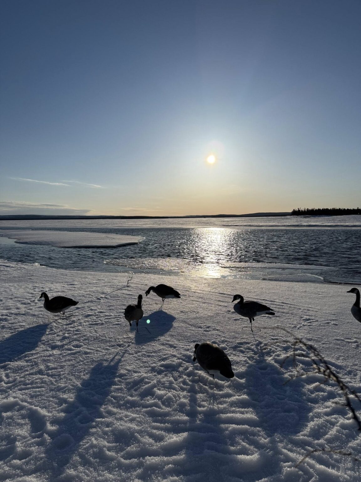 📸 Photo by Louisa-Pearl Einish